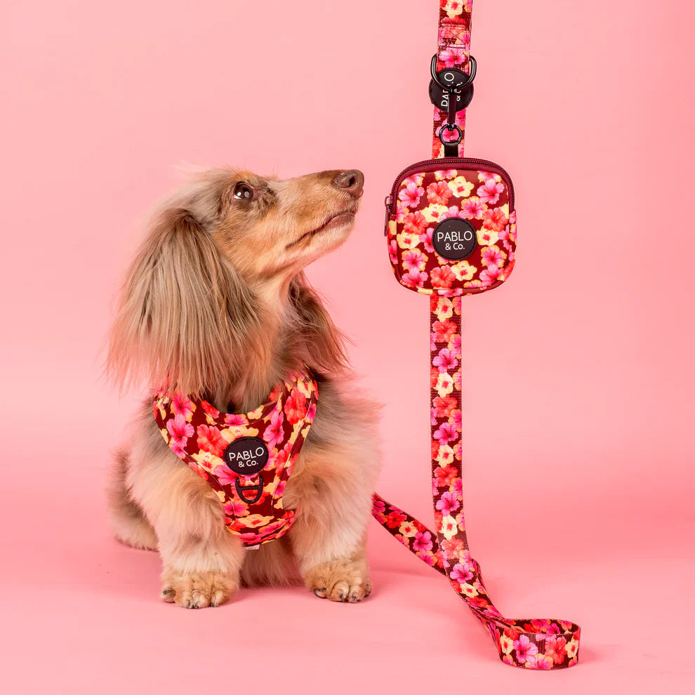 Treat Pouch – Pablo & Co. Boutique