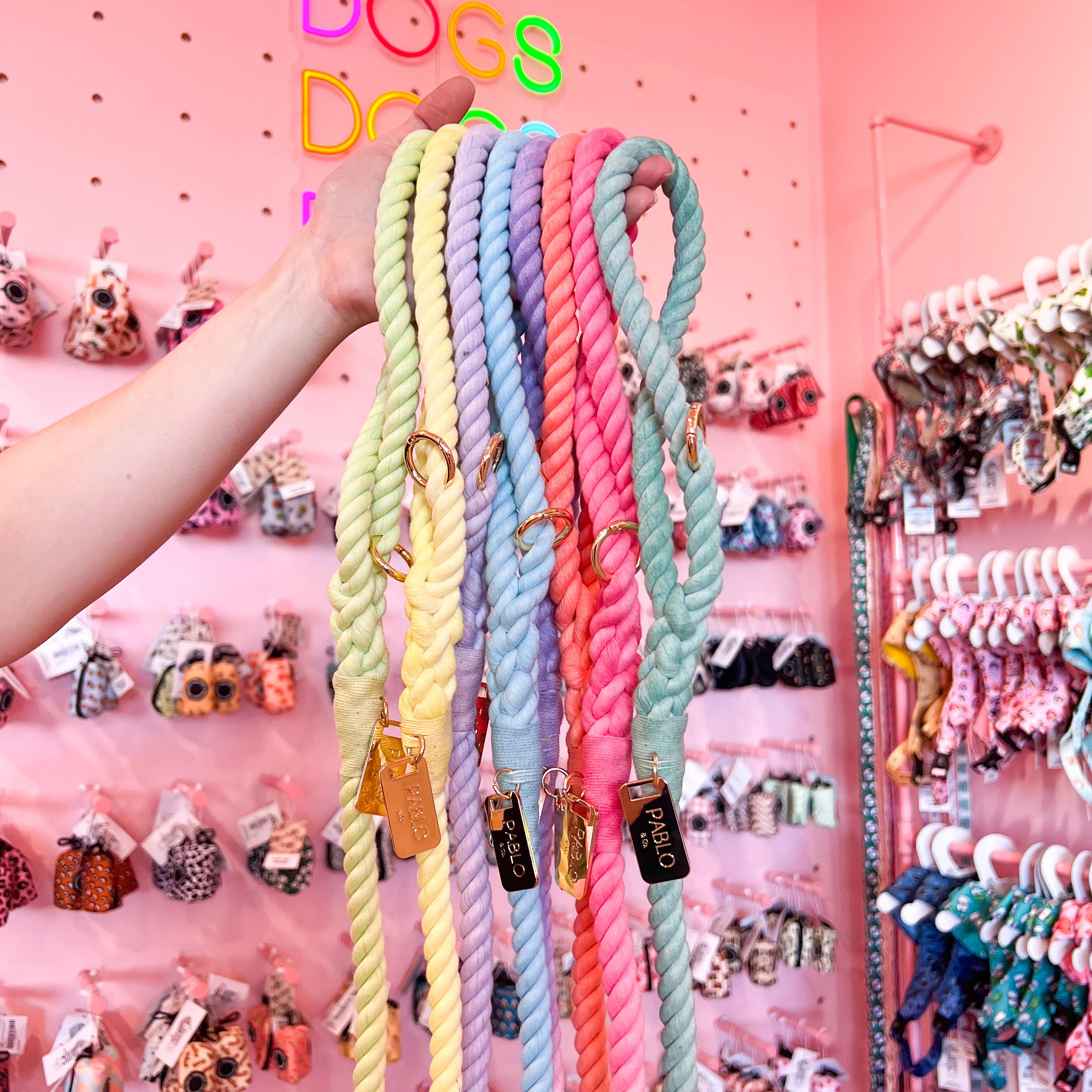 Rope Leashes – Pablo & Co. Boutique