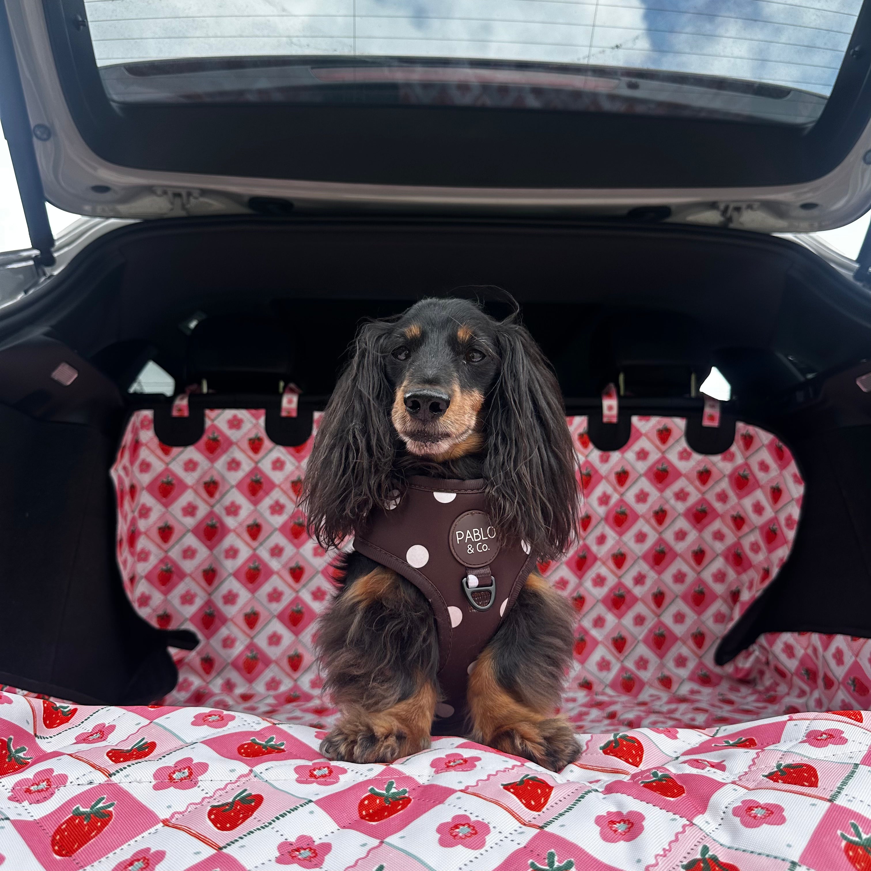 Car Boot Cover – Pablo & Co. Boutique