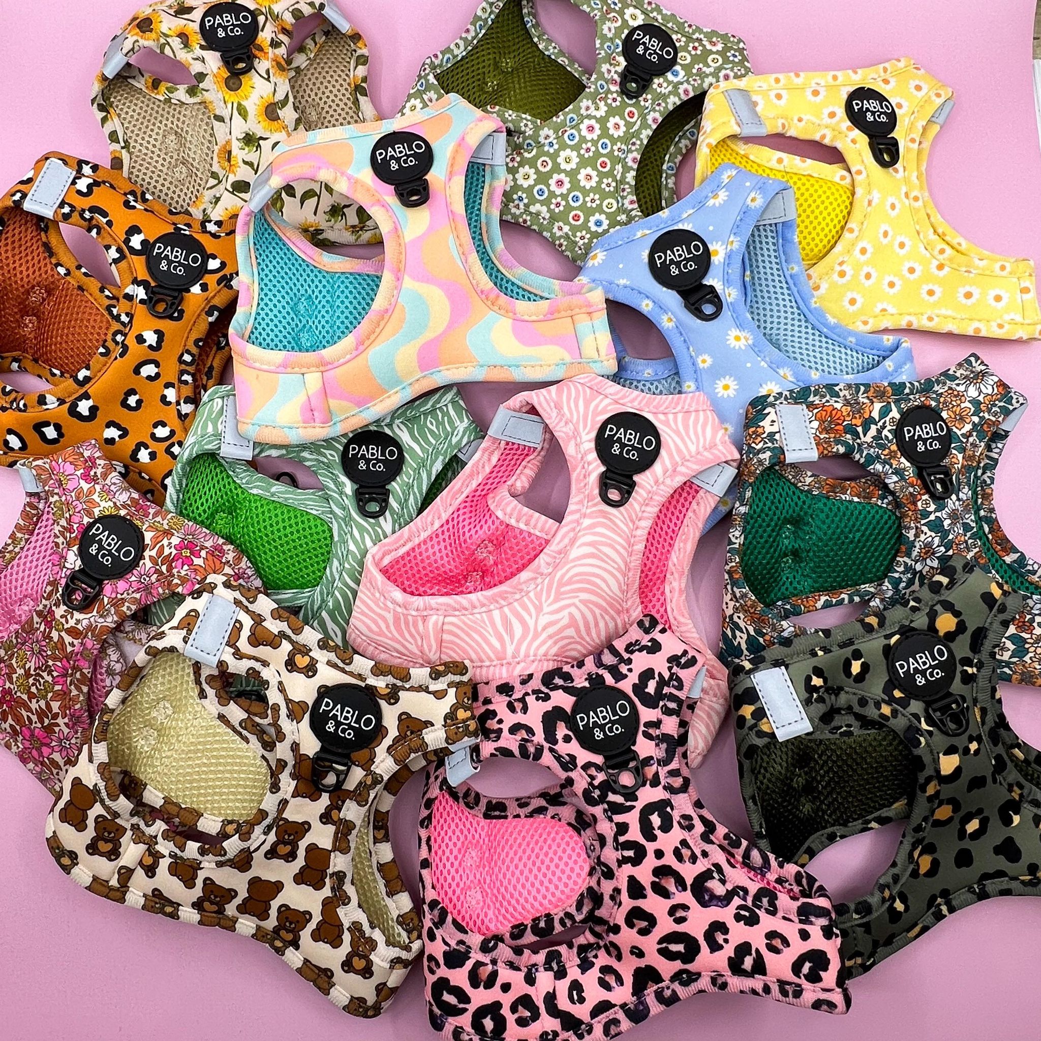 Shop all Pablo & Co. Cat – Pablo & Co. Boutique