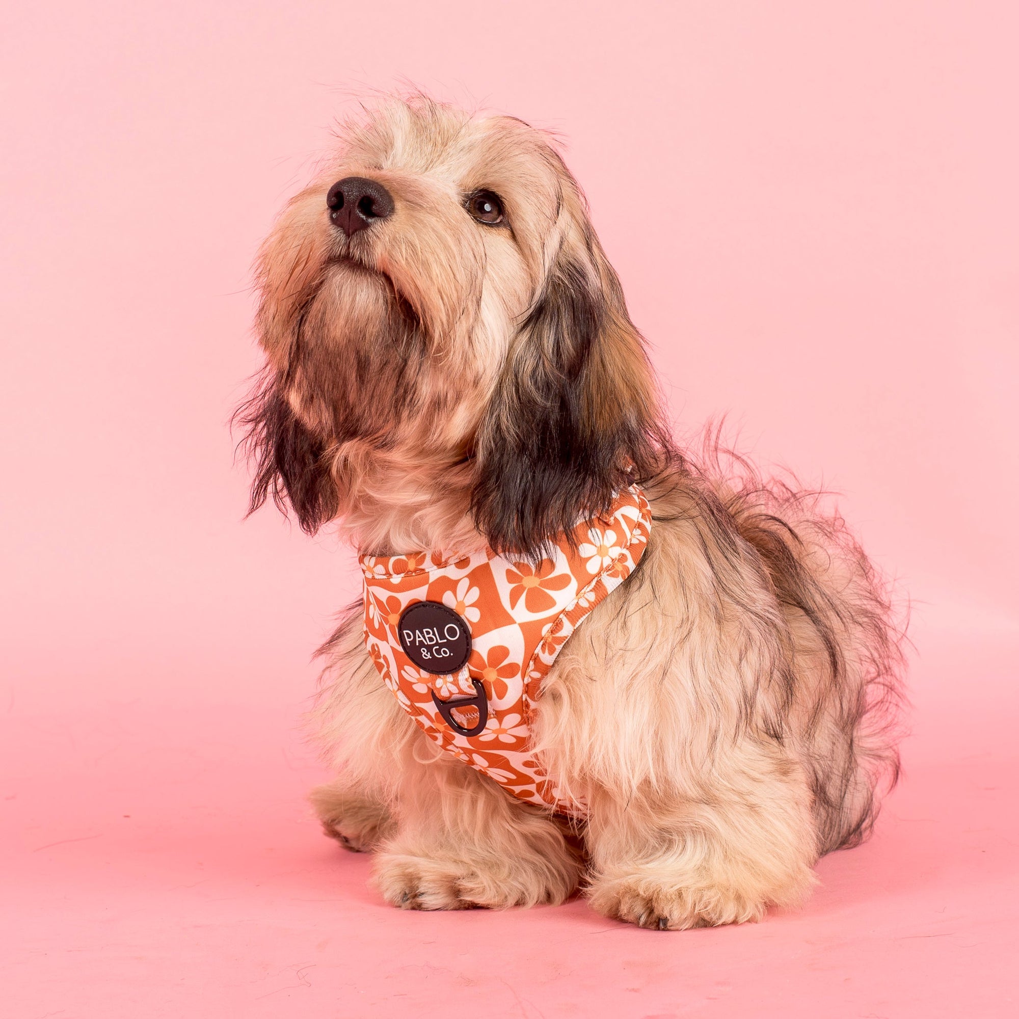 Pablo & Co. – Pablo & Co. Boutique