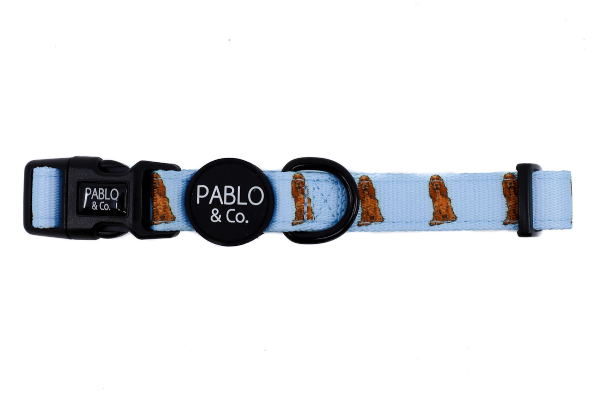 Cocker Spaniel: Collar – Pablo & Co. Boutique