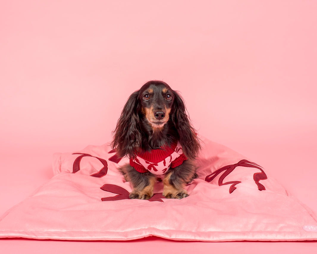Dog Harnesses – Pablo & Co. Boutique