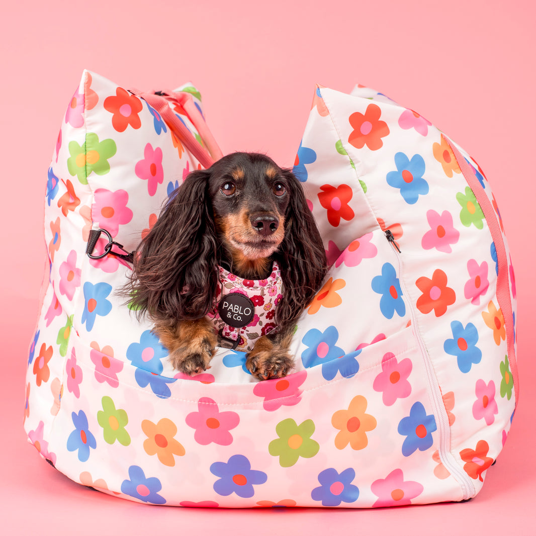 Strawberry Fields: Adjustable Harness – Pablo & Co. Boutique