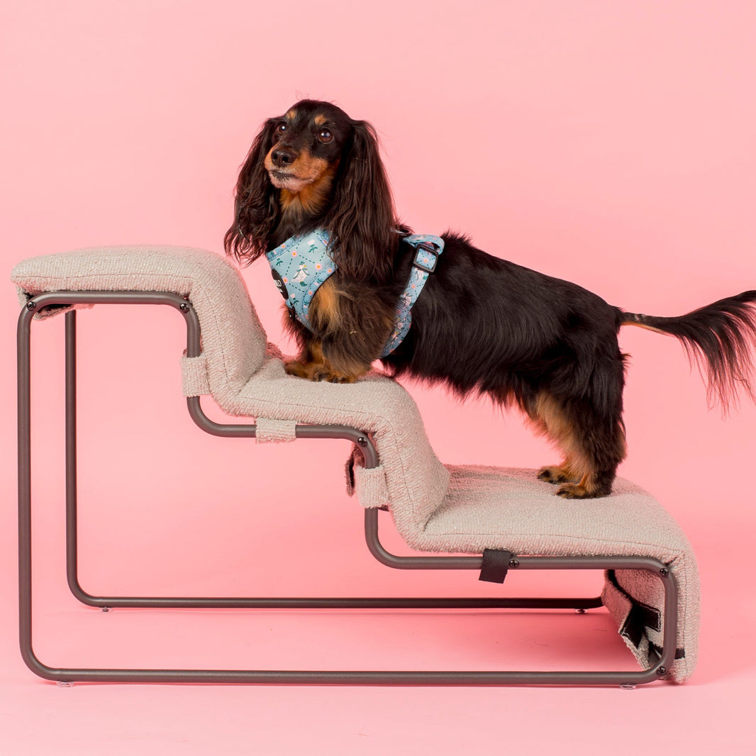 Rex London: Melamine Dinner Set - Sausage Dog – Pablo & Co. Boutique