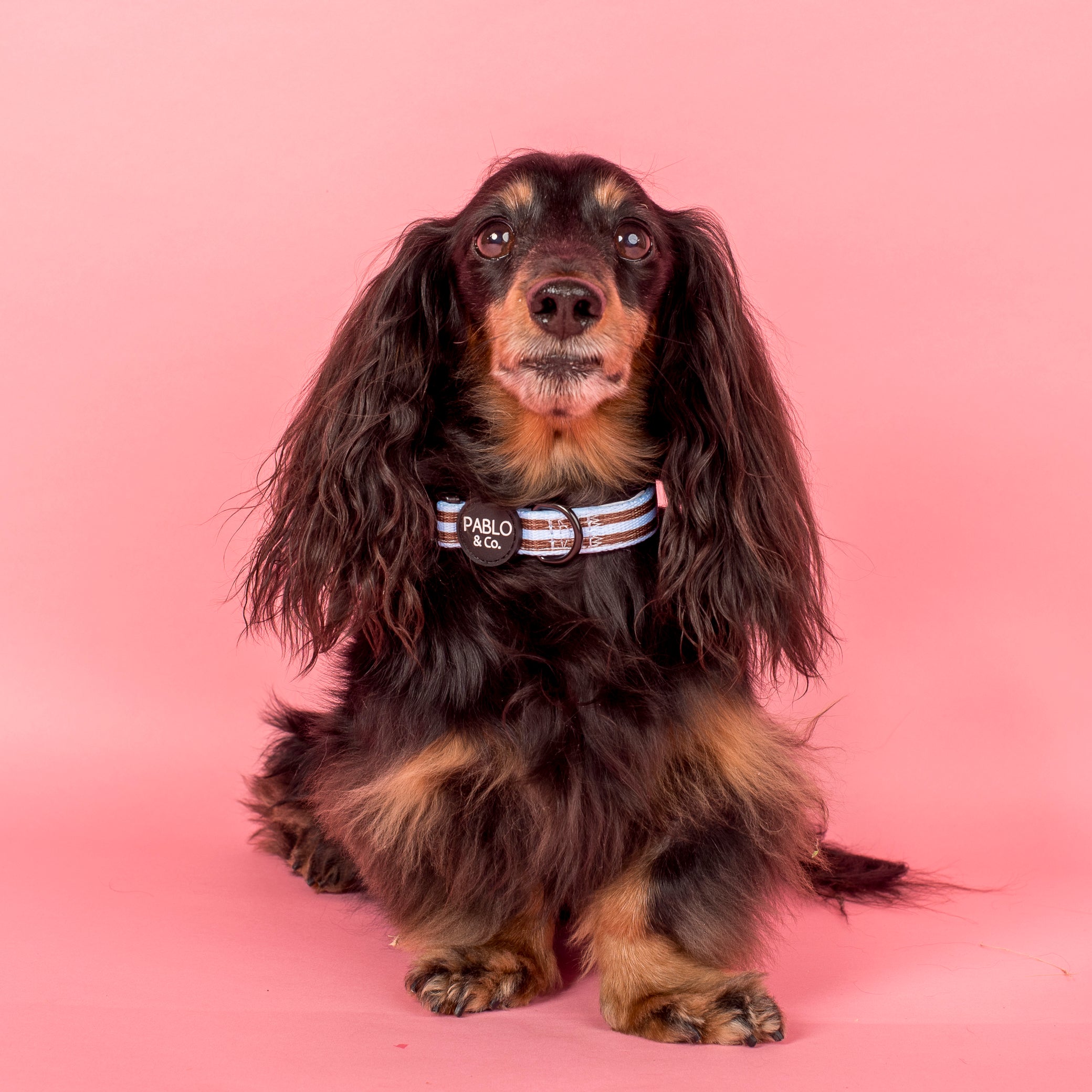 Sunday Stripes: Collar – Pablo & Co. Boutique
