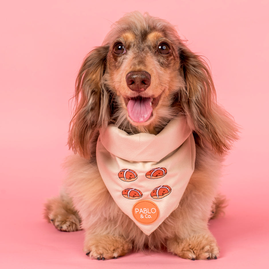 Shop All Dogs – Pablo & Co. Boutique