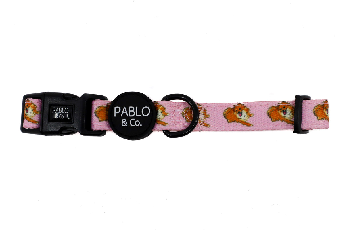 Pomeranian: Collar – Pablo & Co. Boutique