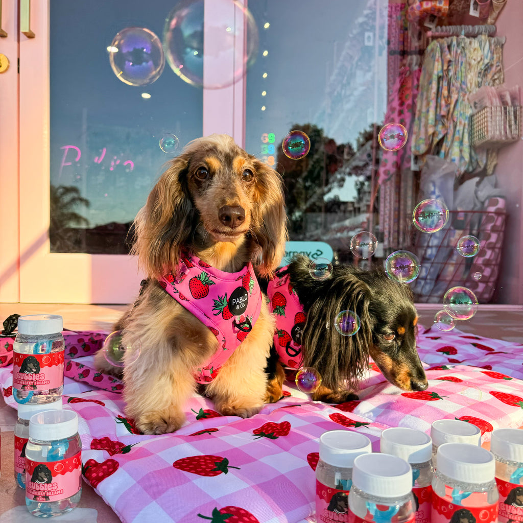 Pablo & Co. – Pablo & Co. Boutique