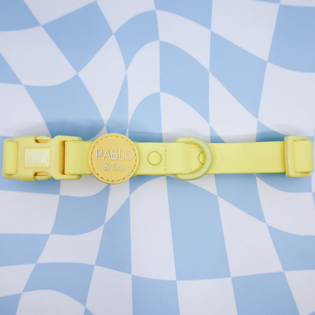 Lemonade: Waterproof Collar – Pablo & Co. Boutique