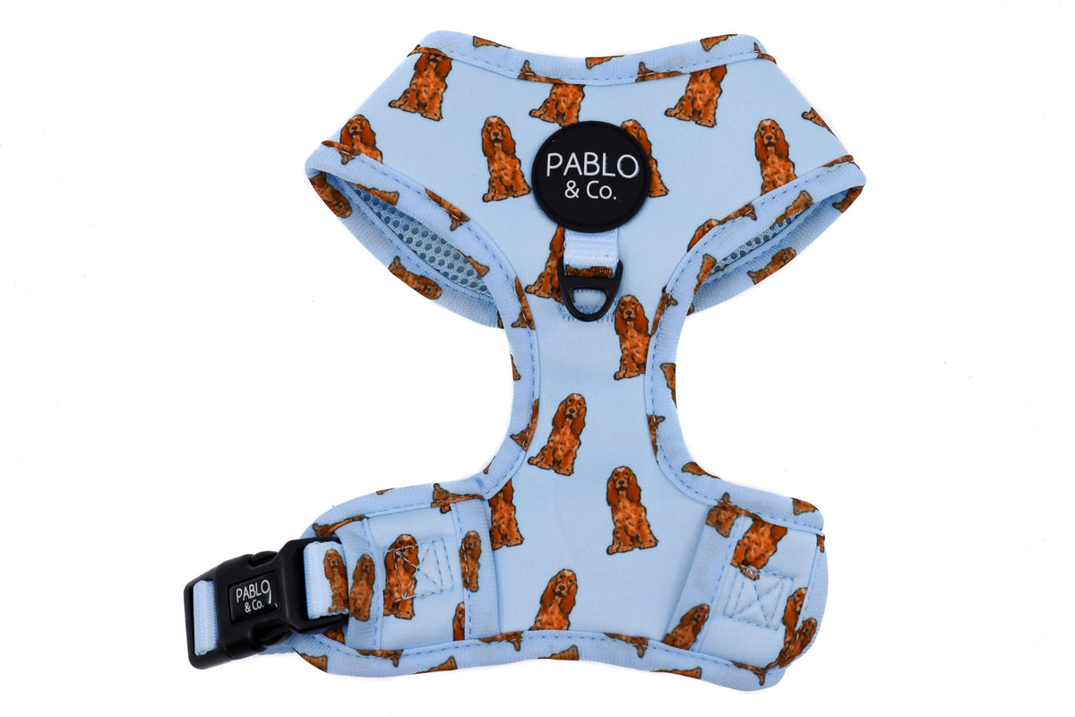 Cocker Spaniel: Adjustable Harness – Pablo & Co. Boutique