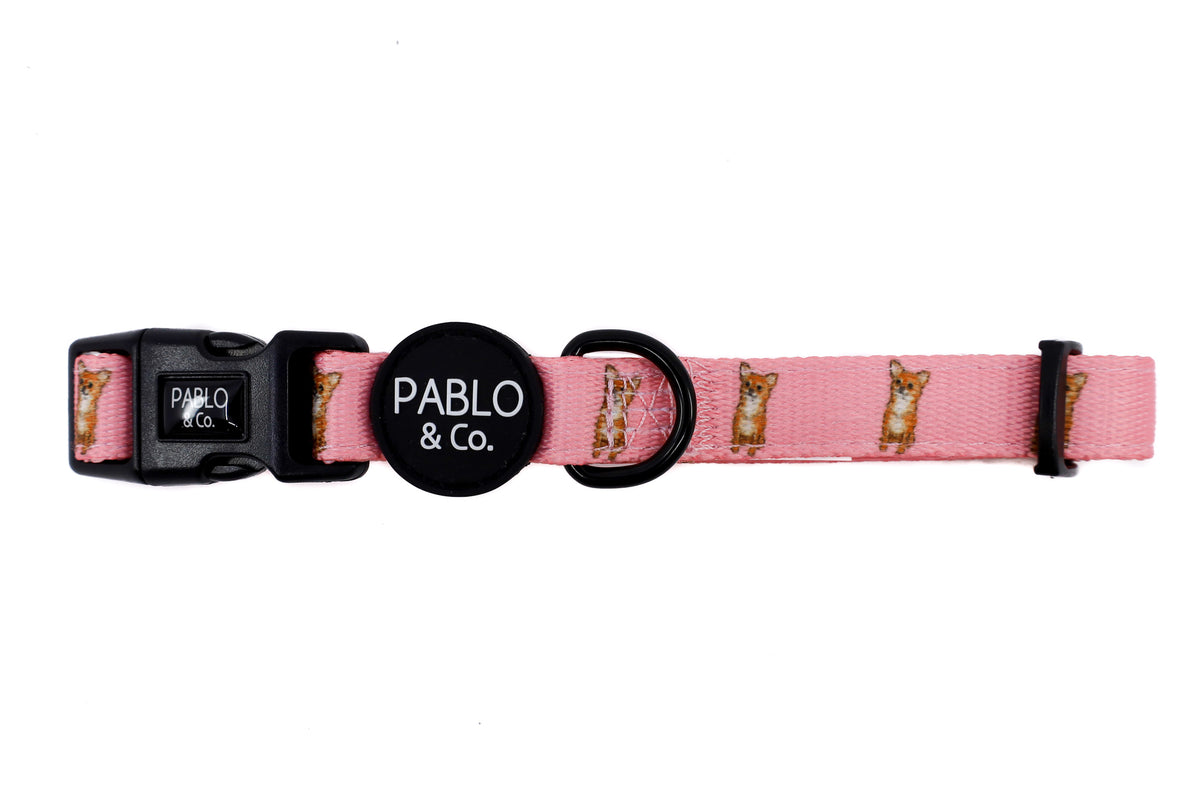 Chihuahua: Collar – Pablo & Co. Boutique