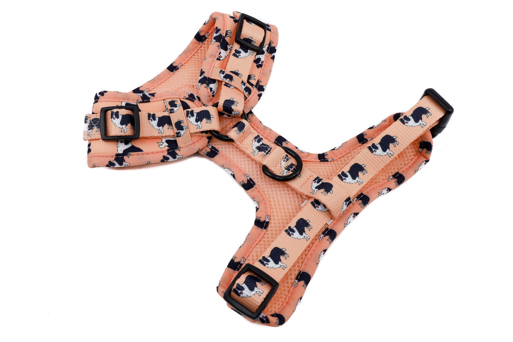 Border Collie: Adjustable Harness – Pablo & Co. Boutique