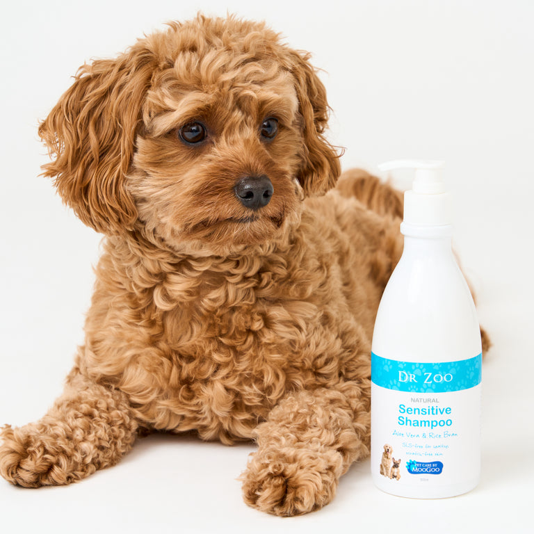 Moo Goo Natural Sensitive Shampoo by Dr Zoo – Pablo & Co. Boutique