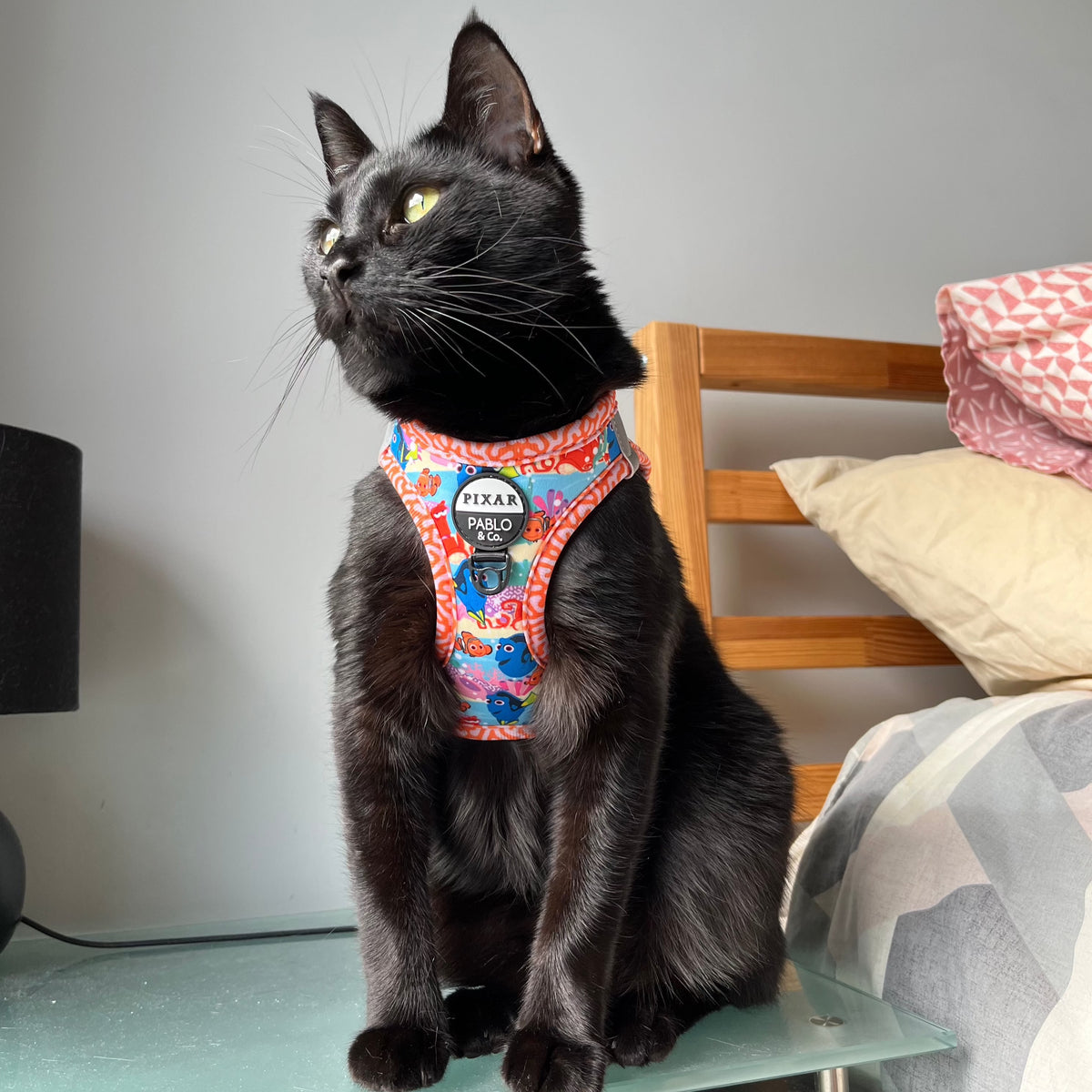 Finding Nemo: Step In Cat Harness – Pablo & Co. Boutique