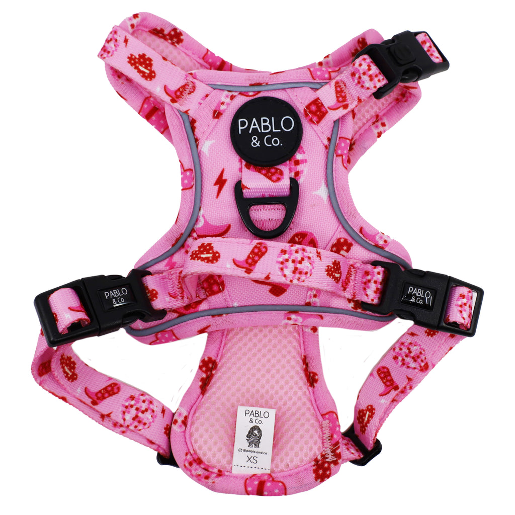 Disco Cowgirl: No Pull Adventure Harness – Pablo & Co. Boutique