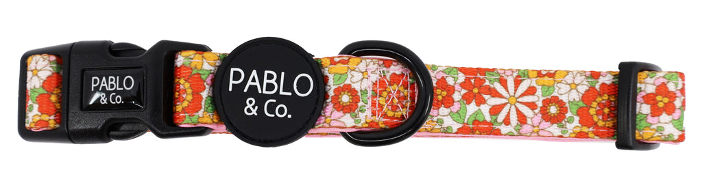 NEW – Pablo & Co. Boutique