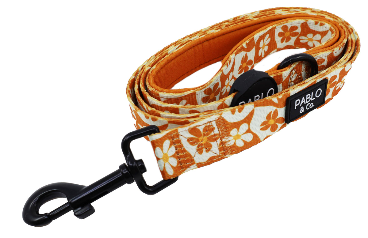 Retro Dazie: Dog Leash – Pablo & Co. Boutique