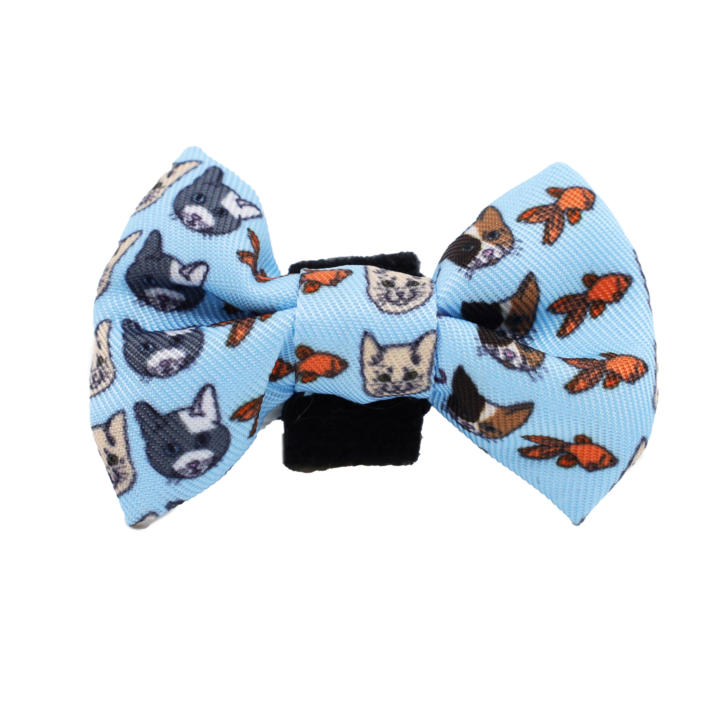 Meow Blue: Cat Bow Tie – Pablo & Co. Boutique