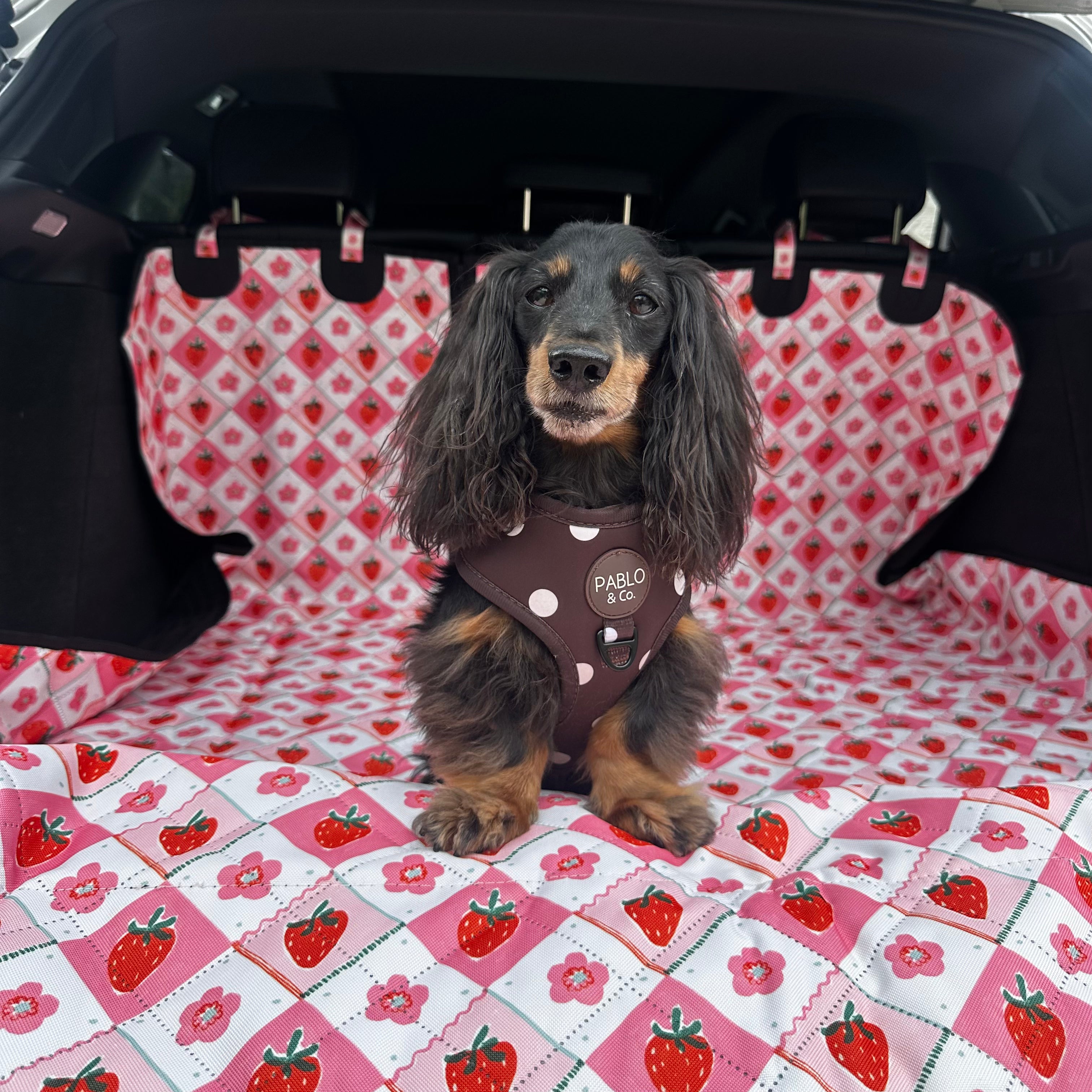 Strawberry Patch: Deluxe Car Boot Cover – Pablo & Co. Boutique