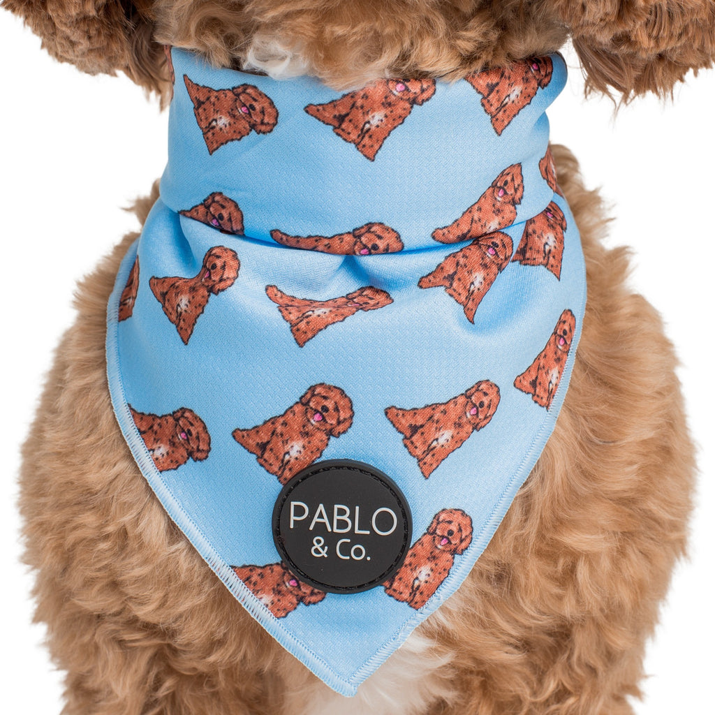 Cavoodle - Dog Bandana – Pablo & Co. Boutique