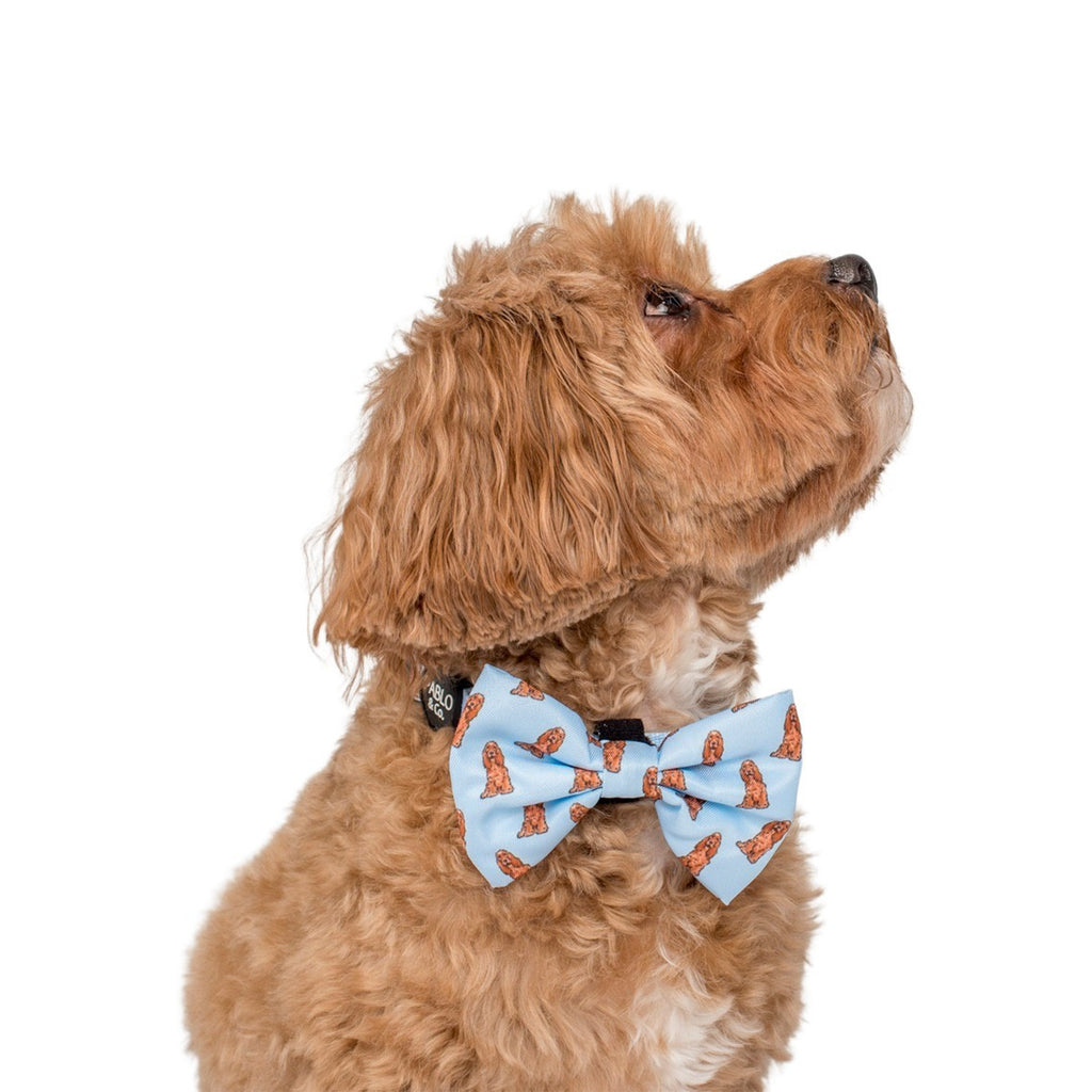 Cocker Spaniel: Bow Tie – Pablo & Co. Boutique