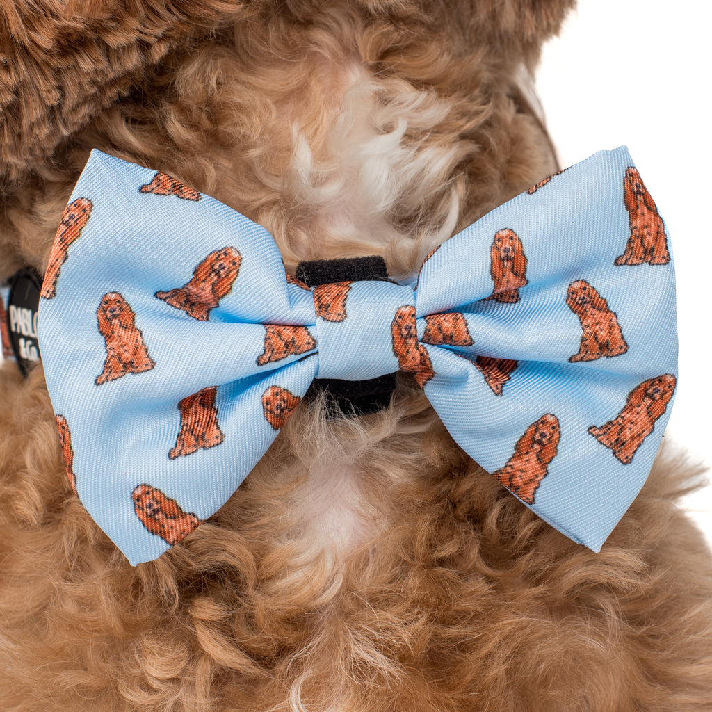 Cocker Spaniel: Bow Tie – Pablo & Co. Boutique