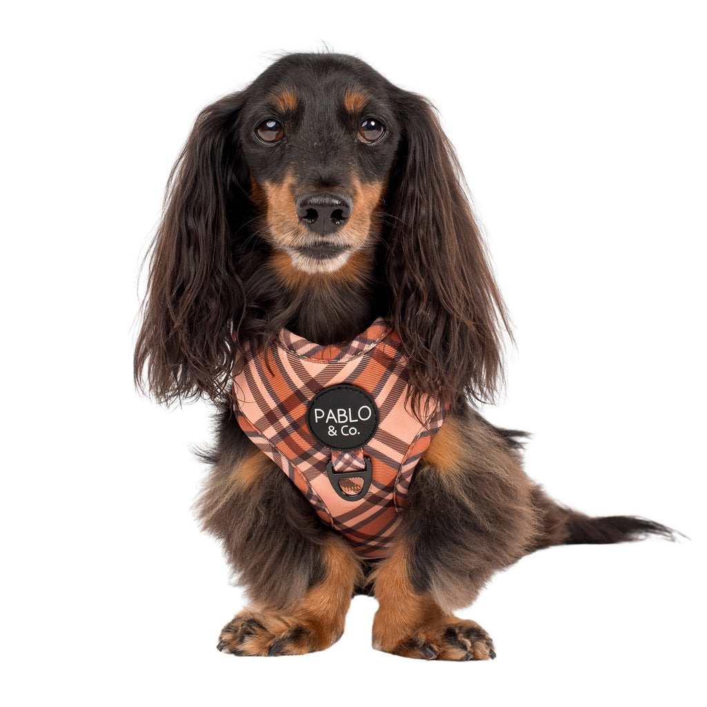 NEW – Pablo & Co. Boutique