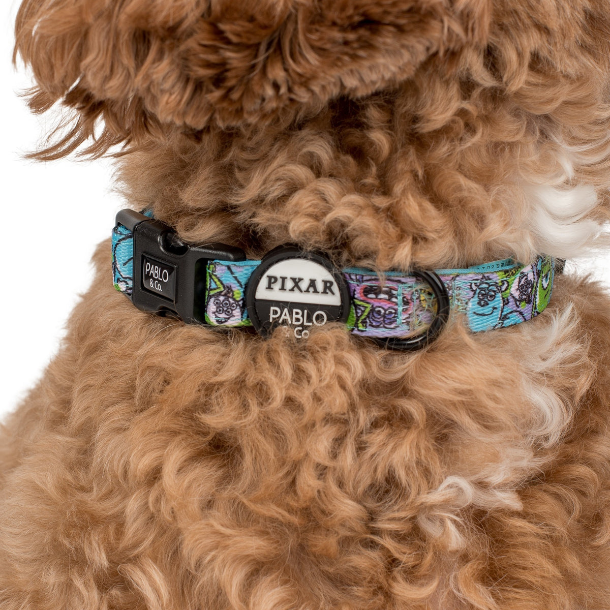 Monsters, Inc.: Dog Collar – Pablo & Co. Boutique