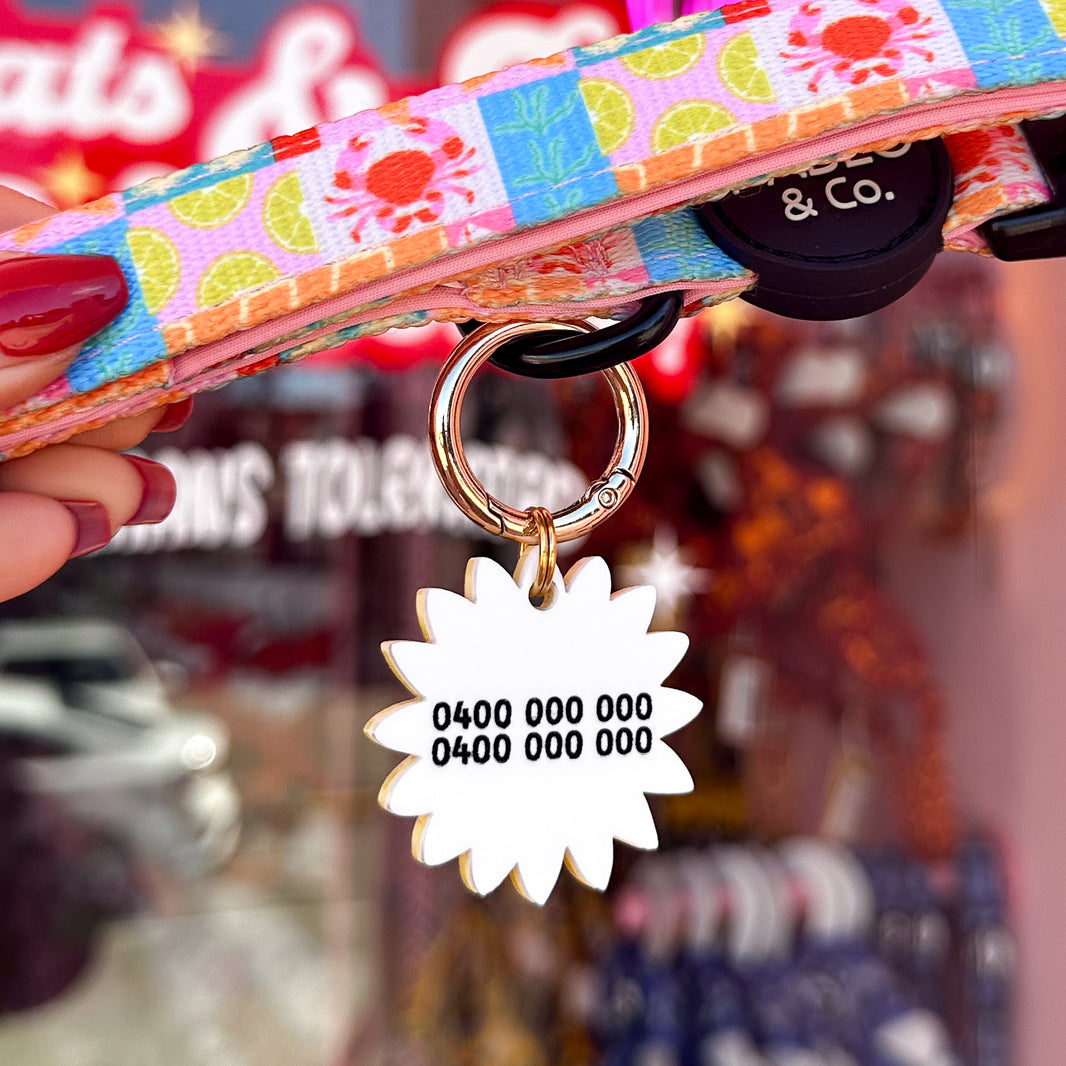 Posy: Collar – Pablo & Co. Boutique