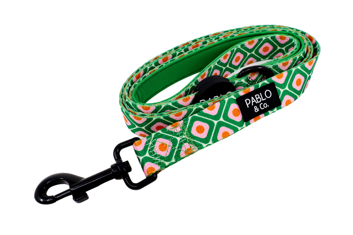 70's Style: Dog Leash – Pablo & Co. Boutique
