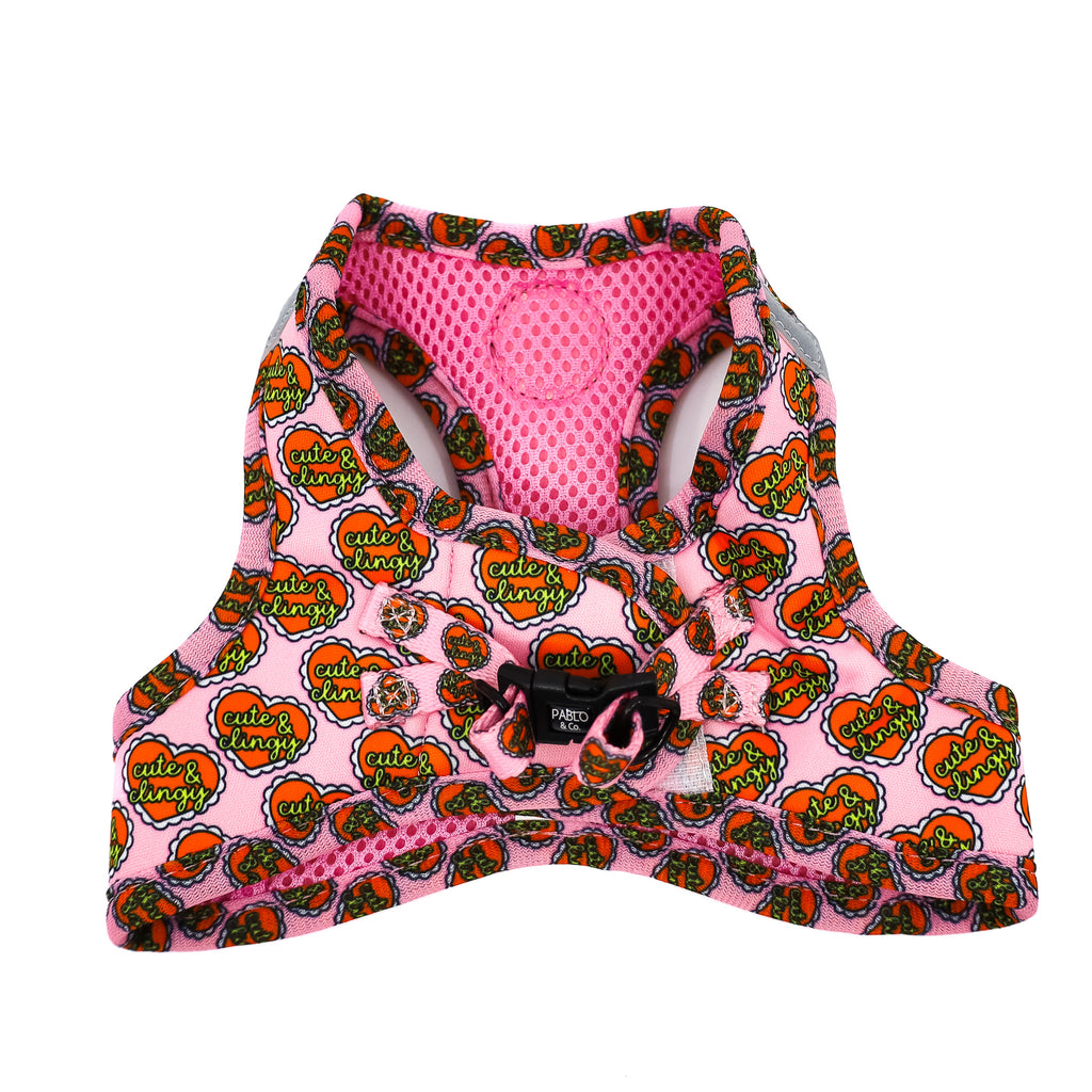 Shop all Pablo & Co. Cat – Pablo & Co. Boutique