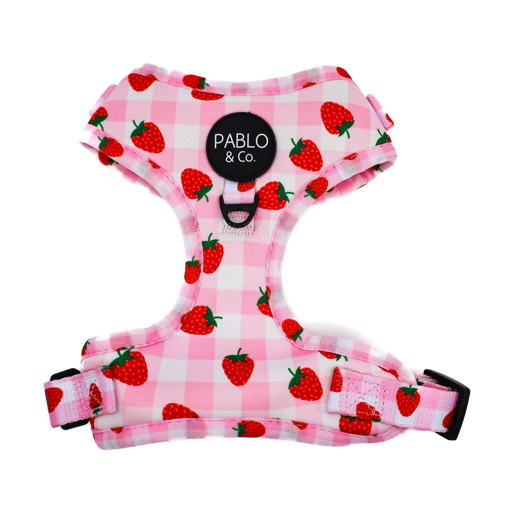 Strawberry Fields: Adjustable Harness – Pablo & Co. Boutique
