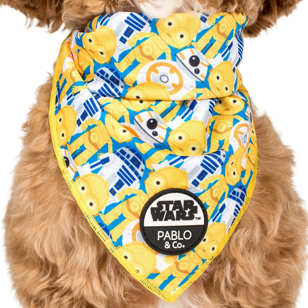 C-3PO & R2-D2: Dog Bandana – Pablo & Co. Boutique