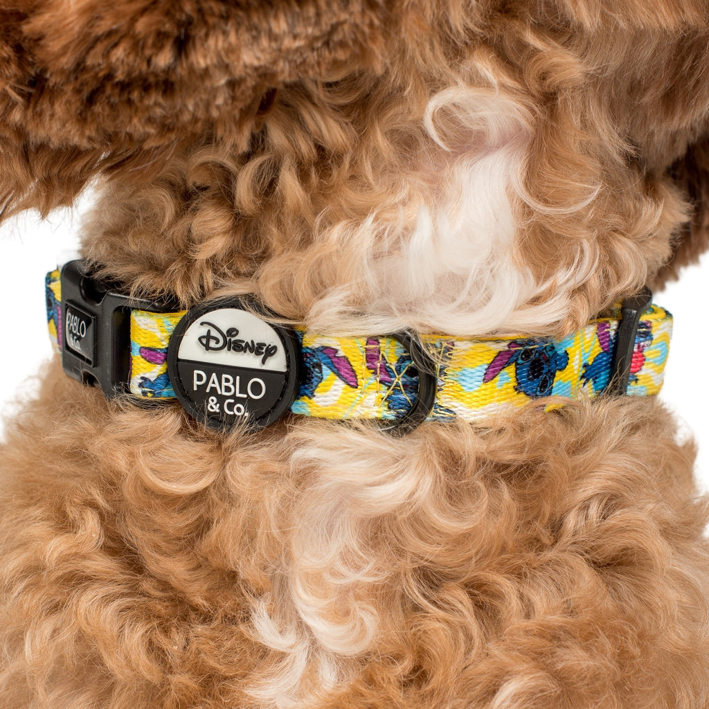 Psychedelic Stitch: Dog Collar – Pablo & Co. Boutique