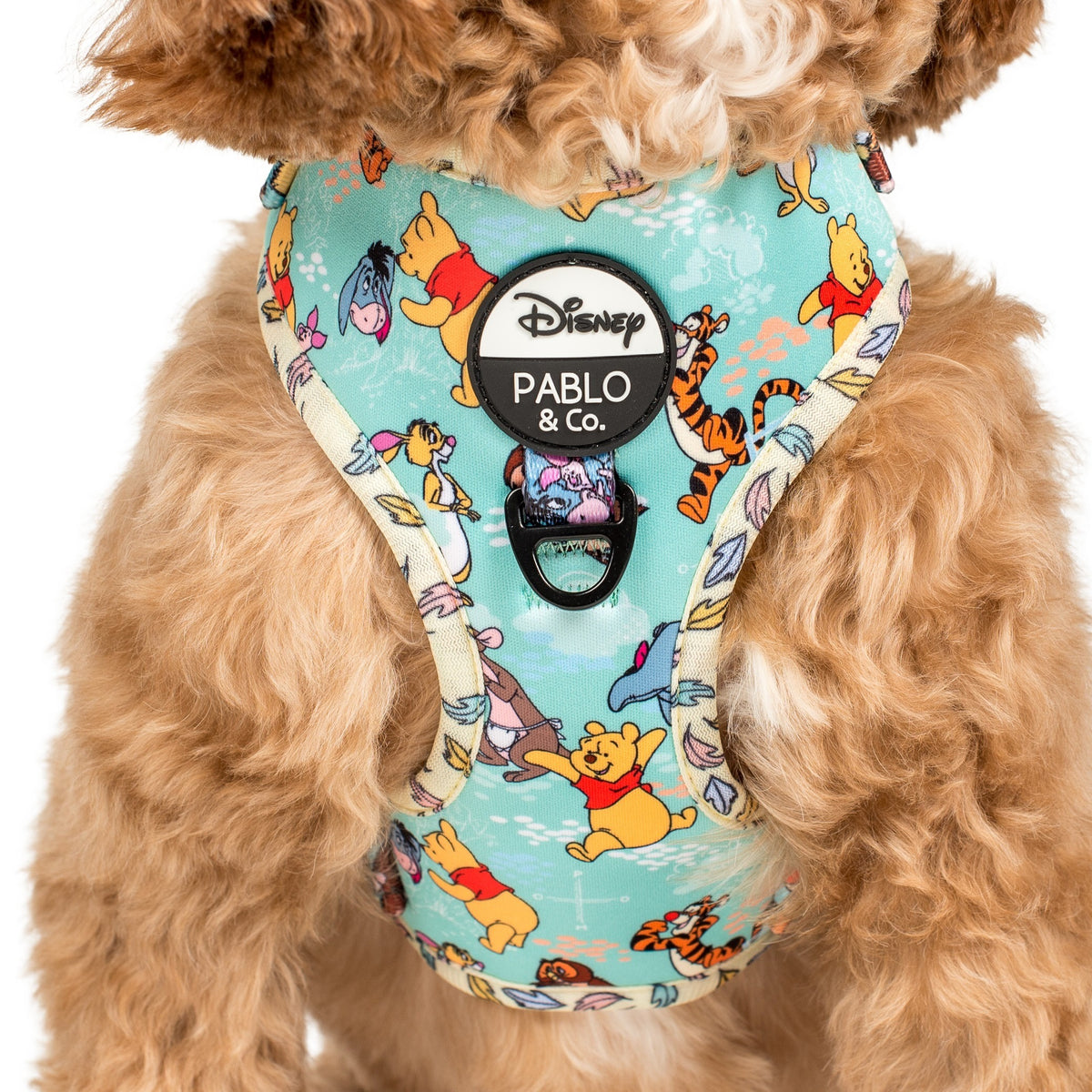 Winnie the Pooh & Forest Friends: Adjustable Harness – Pablo & Co. Boutique