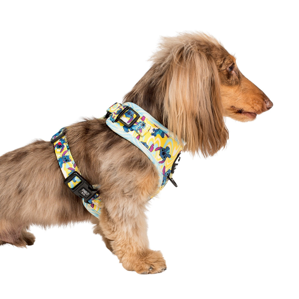 Psychedelic Stitch: Adjustable Harness – Pablo & Co. Boutique