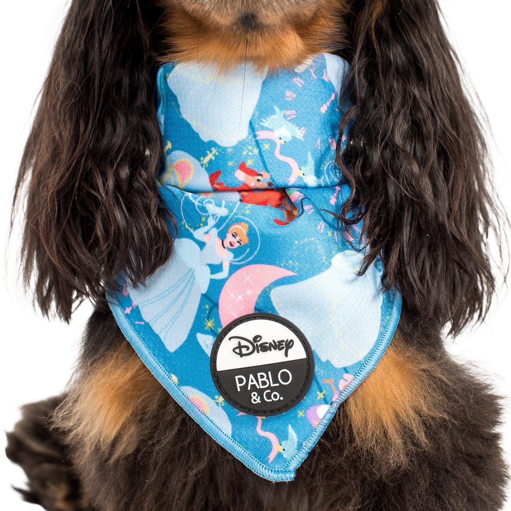 Cinderella: Dog Bandana – Pablo & Co. Boutique