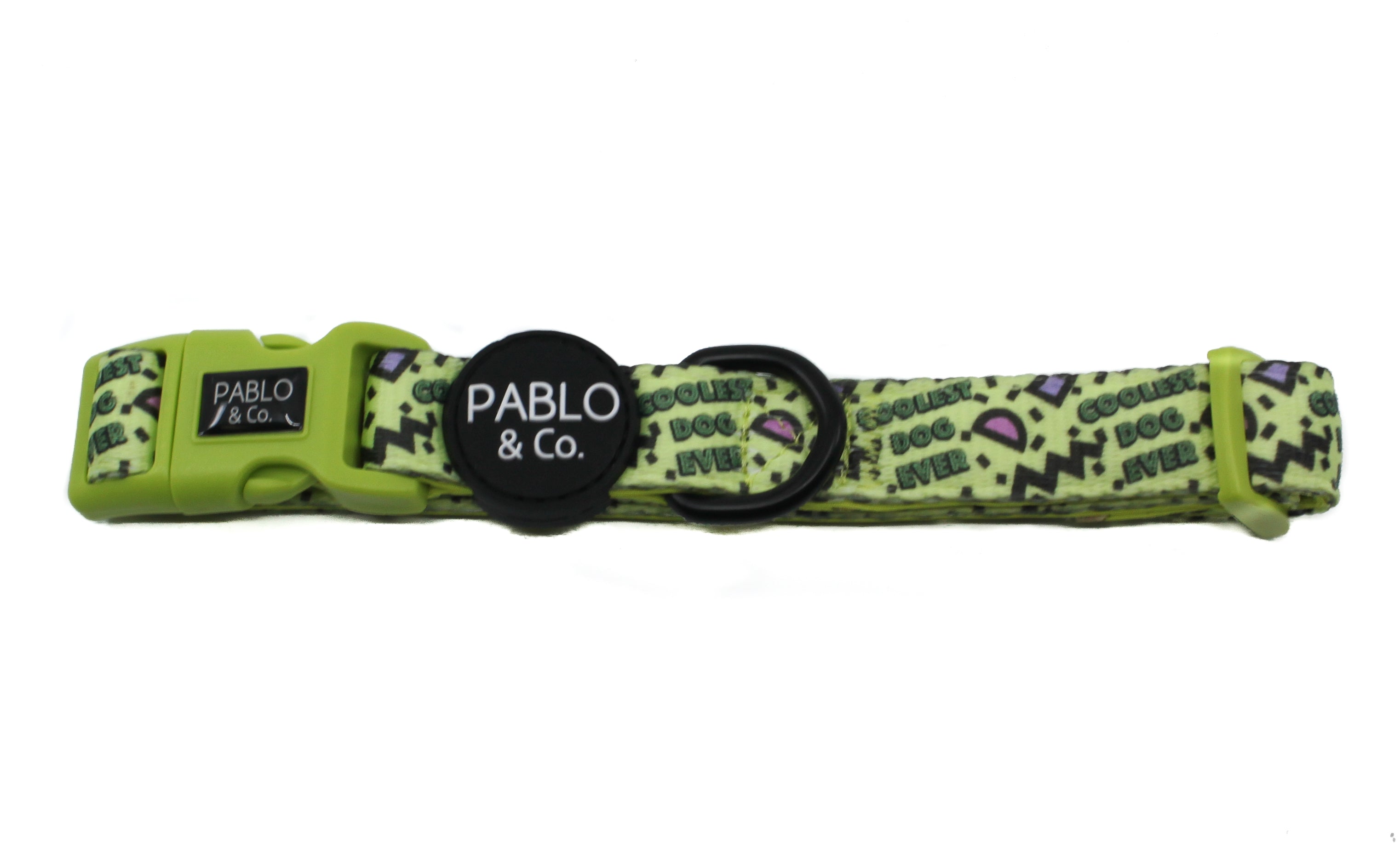 Coolest Dog Ever: Collar – Pablo & Co. Boutique