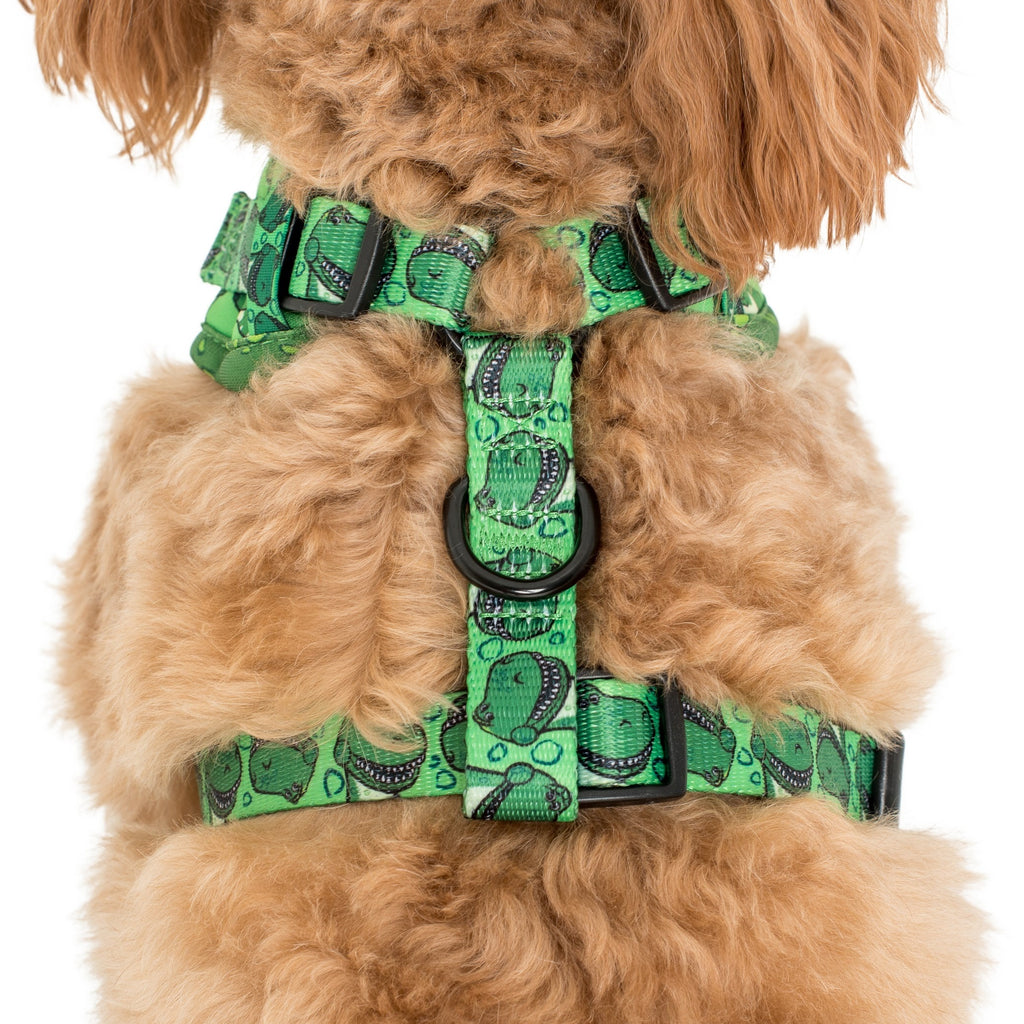 Toy Story - Rex: Adjustable Harness – Pablo & Co. Boutique