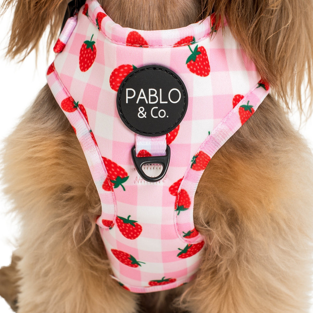 Strawberry Fields: Adjustable Harness – Pablo & Co. Boutique