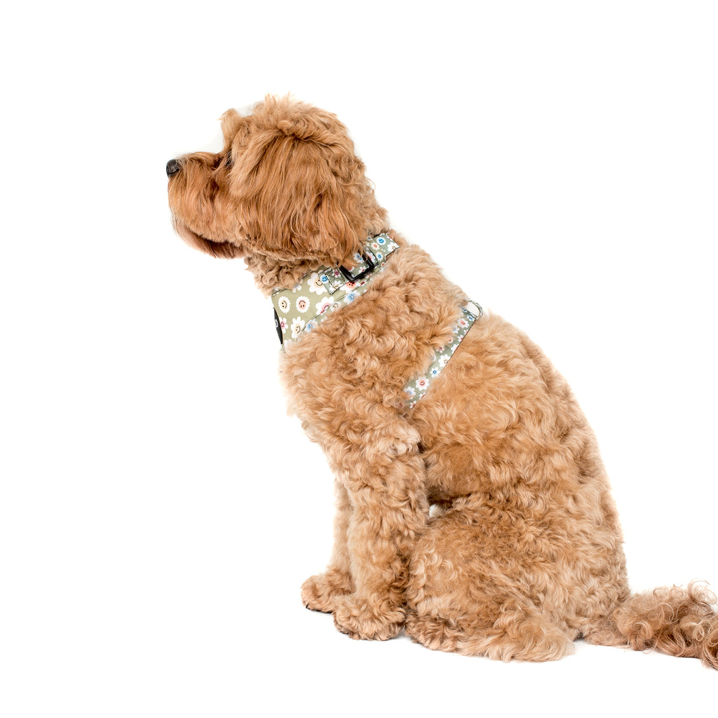 Smiley Flowers: Adjustable Harness – Pablo & Co. Boutique