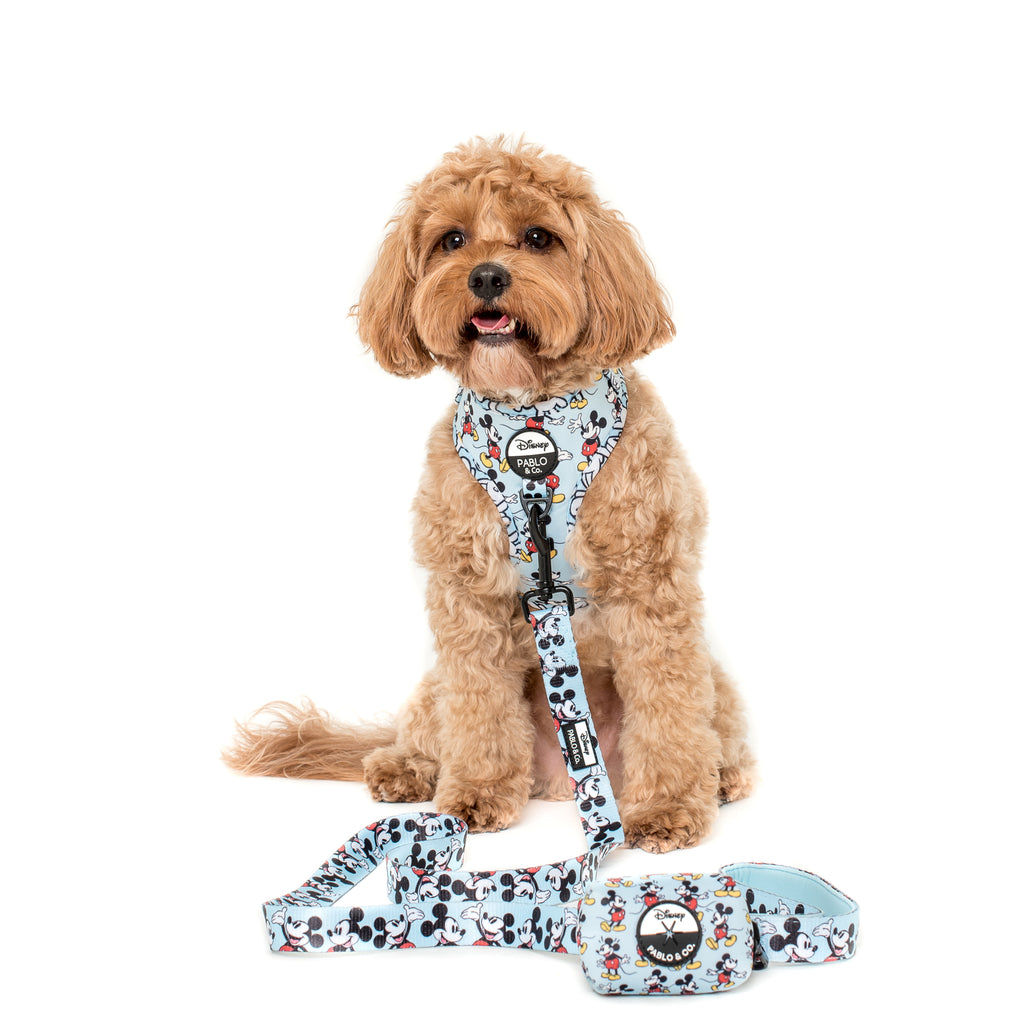 The Original Mickey Mouse: Adjustable Harness – Pablo & Co. Boutique