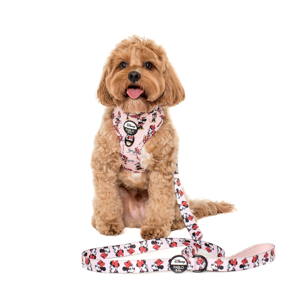 Minnie Mouse & Flowers: Adjustable Harness – Pablo & Co. Boutique