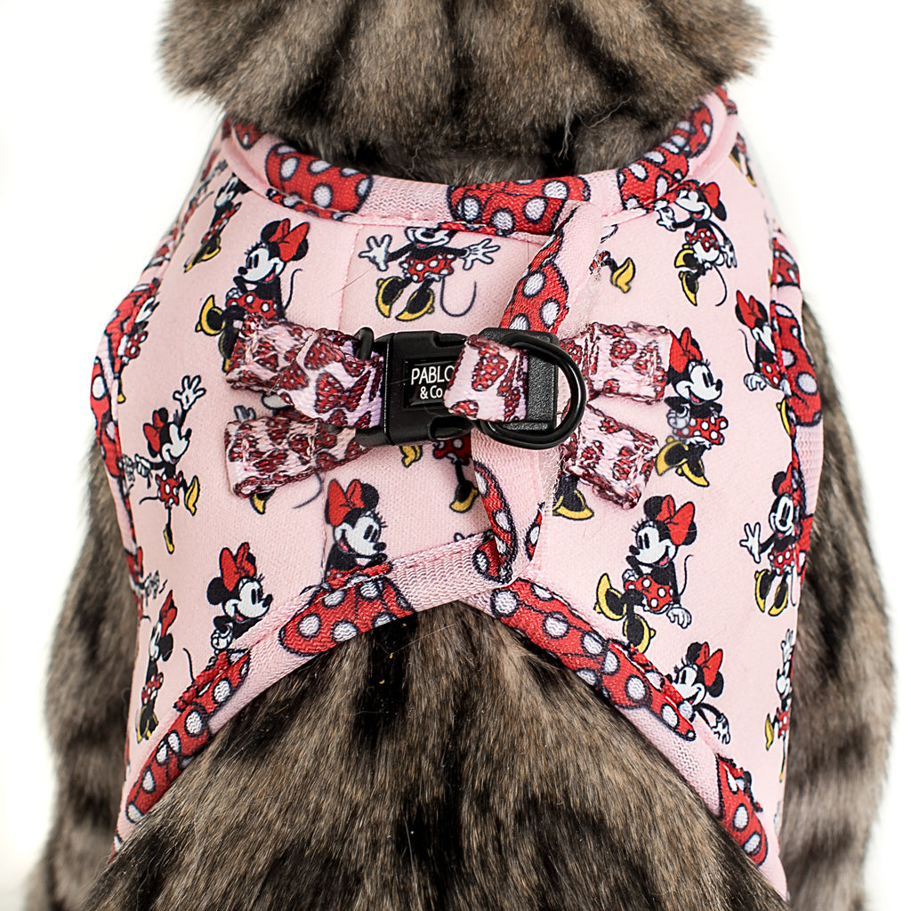 Minnie Mouse & Flowers: Step In Cat Harness – Pablo & Co. Boutique